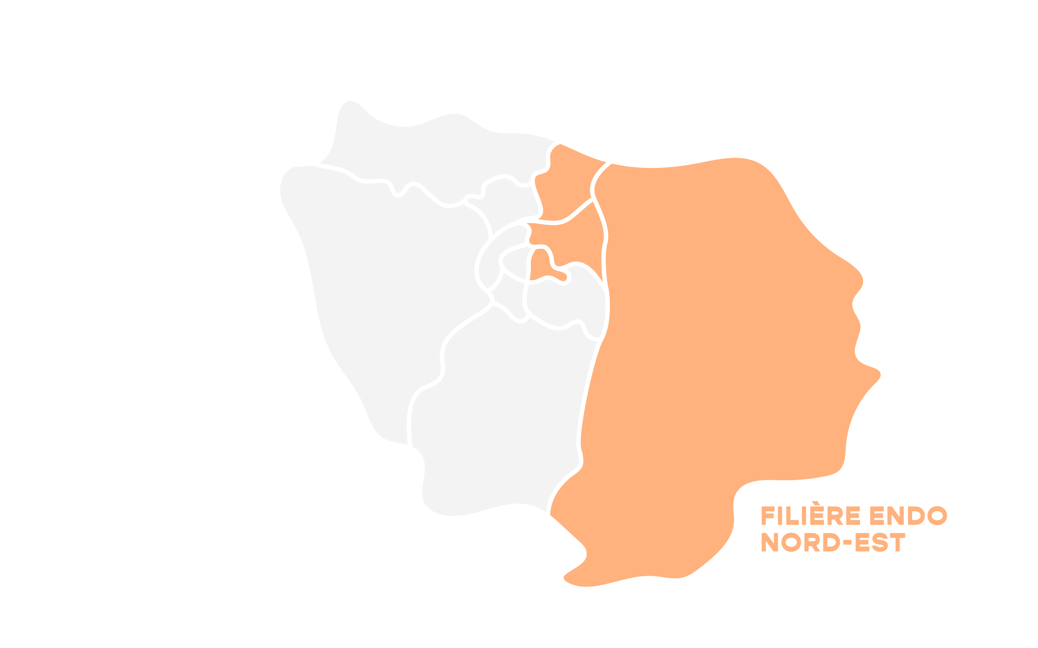 Filière Nord-Est IDF - EndoIDF