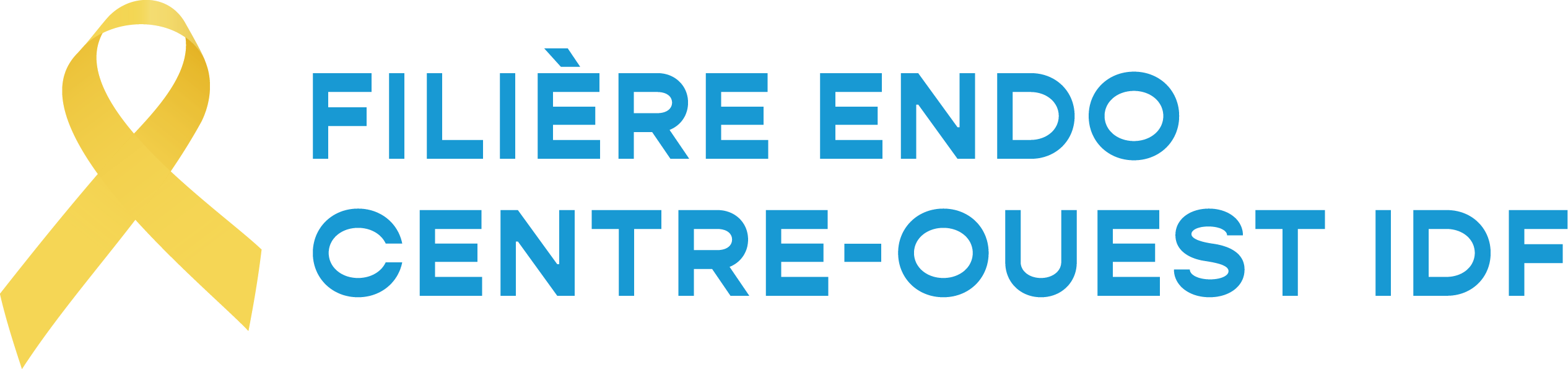 Filière Centre-Ouest IDF - EndoIDF